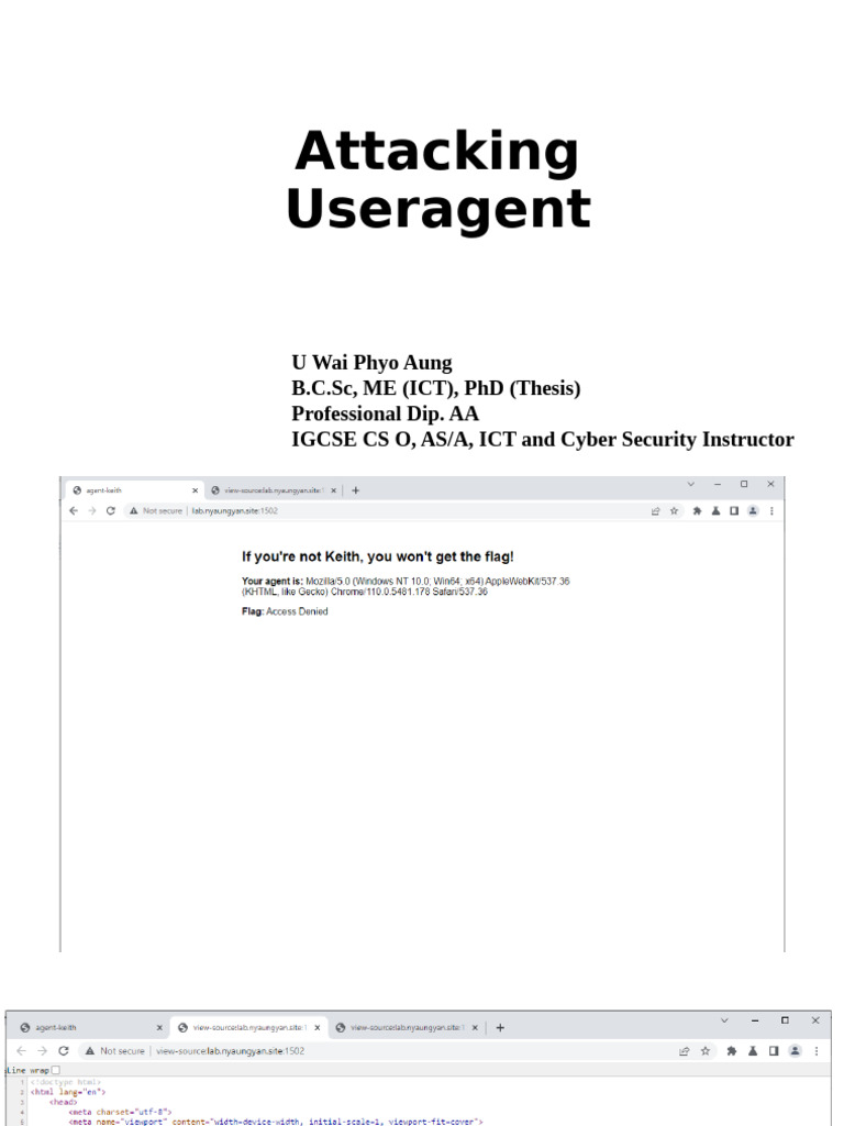 Attacking Useragent | PDF