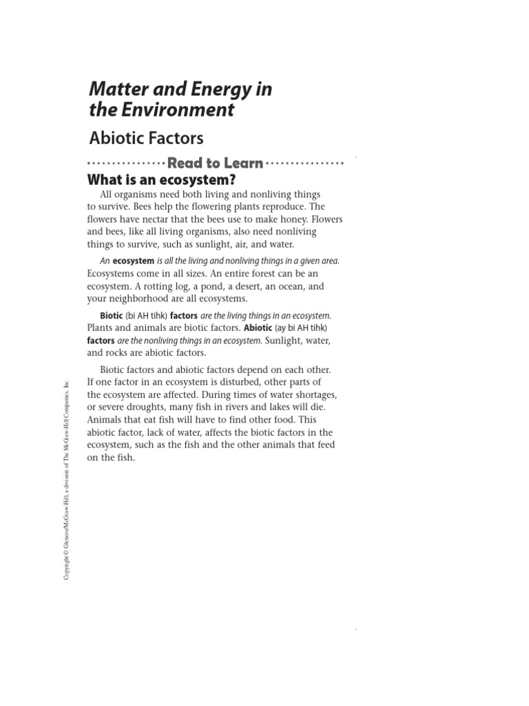 Chapter 12, Lesson 1 | PDF