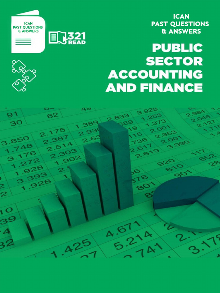 Public Sector Accounting and Finance | PDF