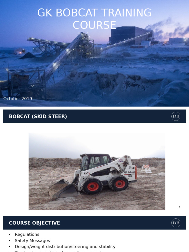 Bobcat - Skid Steer 2019 | PDF