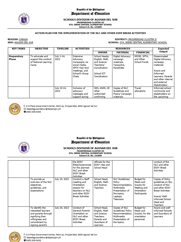 NLC School Action Plan (Sta. Irene CES) | PDF
