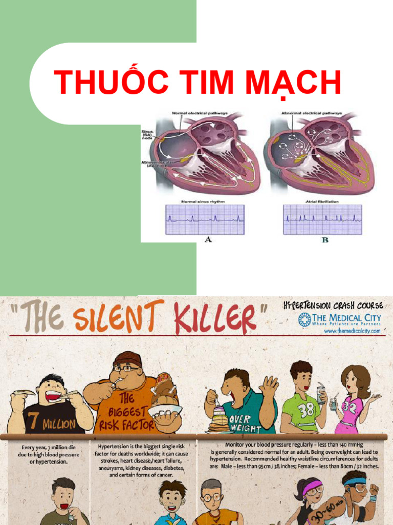 Thuoc Tim Mach | PDF