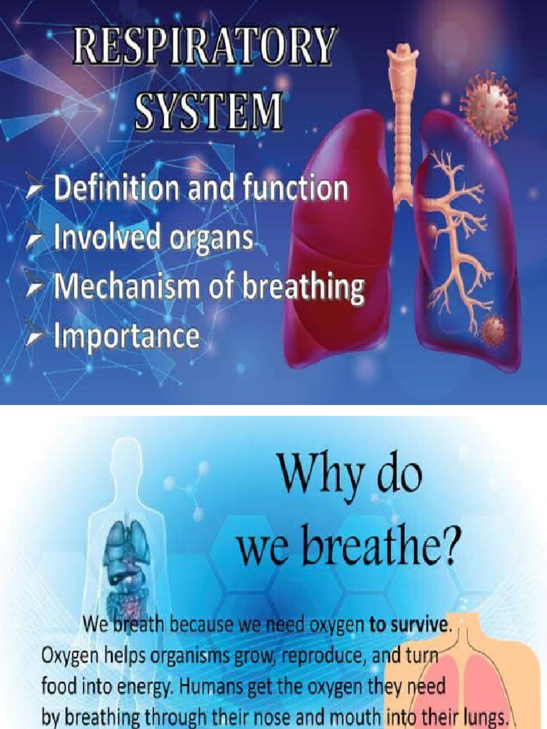 Respiration Cp1 | PDF