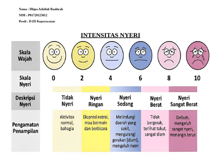 Inensitas Skala Nyeri | PDF