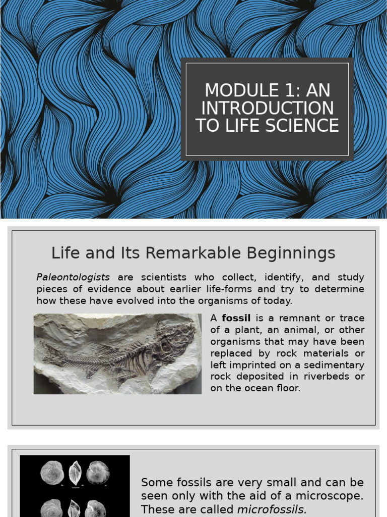 Earth and Life Science PPT 1 | PDF