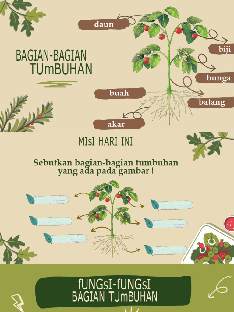 Daun Biji: Bagian-Bagian Tumbuhan | PDF
