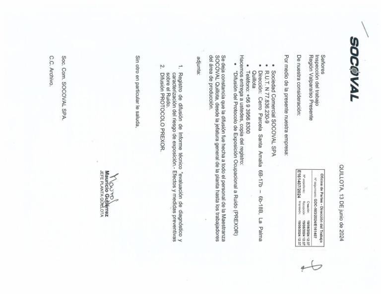 Recepcion It - Carta Difusion Prexor | PDF