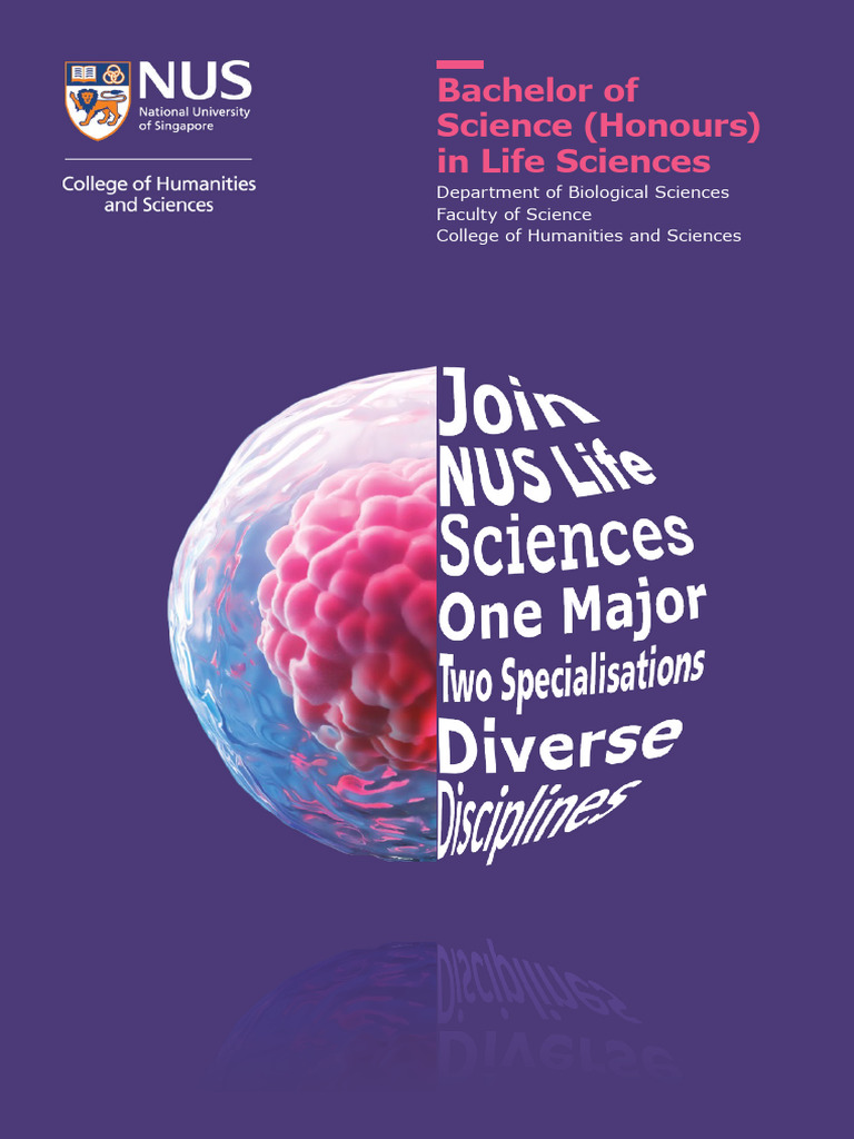 NUS CHS Life Sciences Brochure | PDF