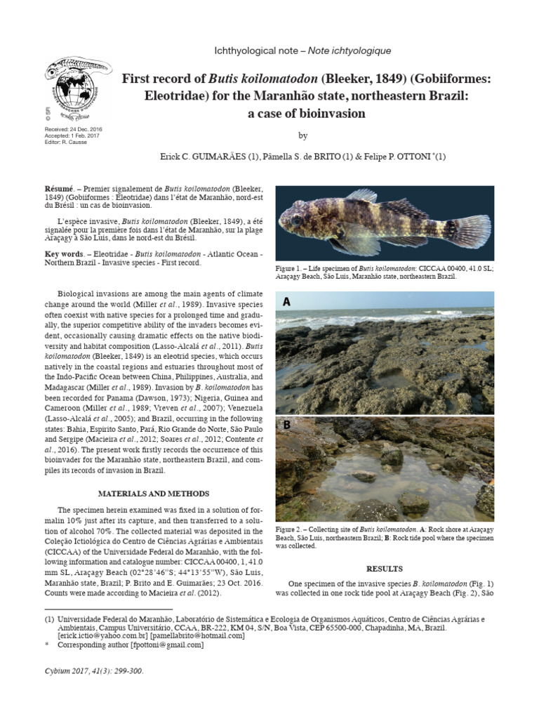 First Record of Butis Koilomatodon (Bleeker, 1849) (Gobiiformes: Eleotridae) For The Maranhão ...