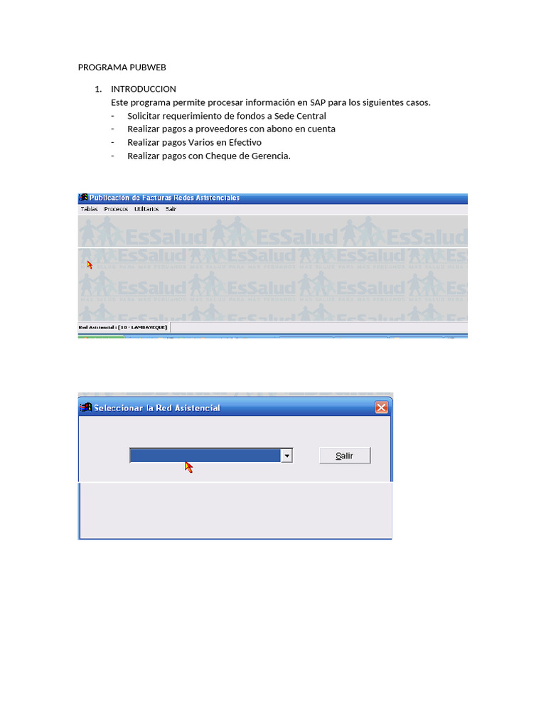 Manual Guia Del Pubweb | PDF