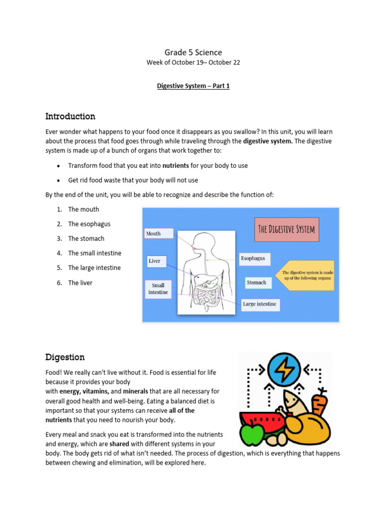 Science-5-Oct19-22_Digestive-System-Part-1 | PDF