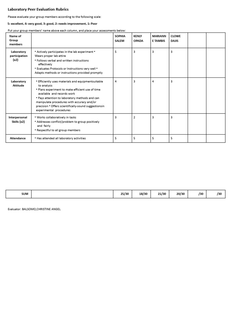Laboratory Peer Evaluation Form | PDF
