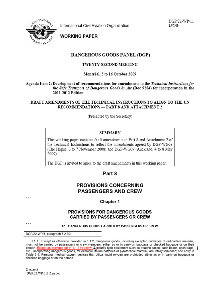 DGP 22 WP 011 2 en | PDF