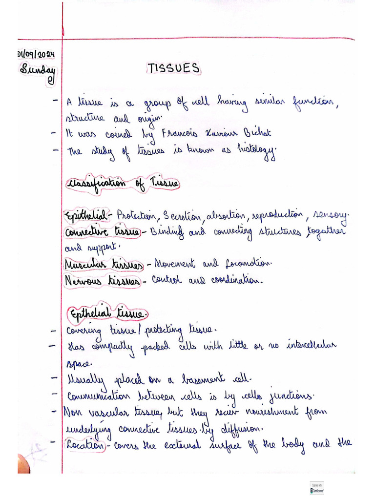 bio_tissues ? (1) | PDF
