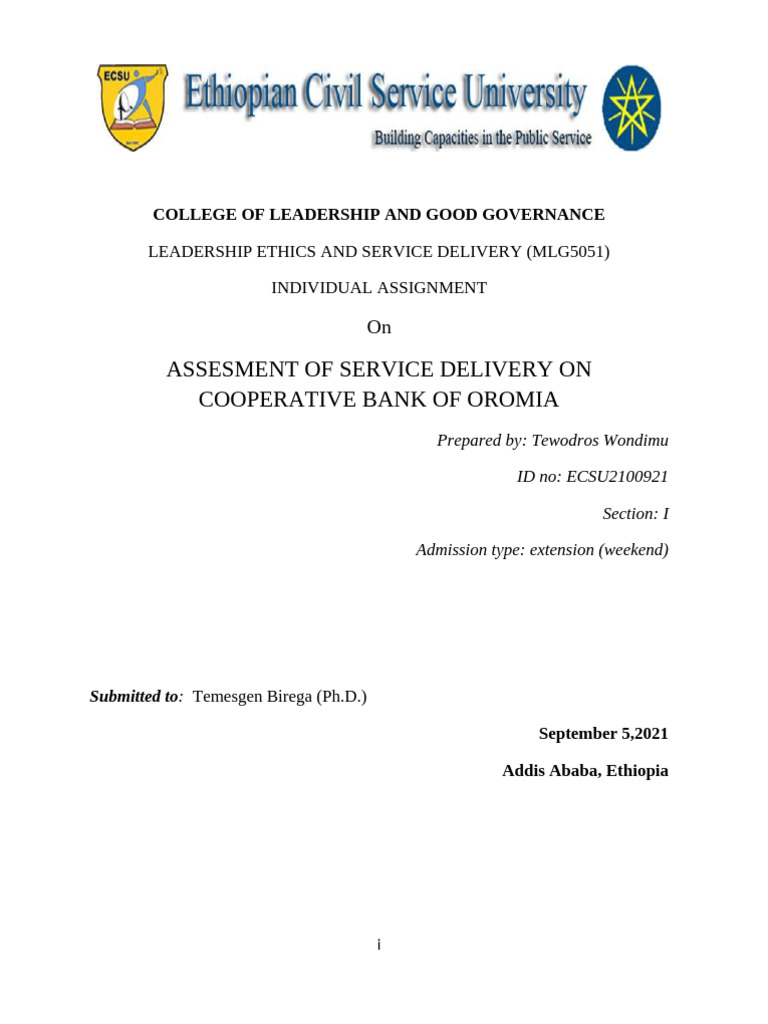 Tewodros Wondimu Service Delivery | PDF