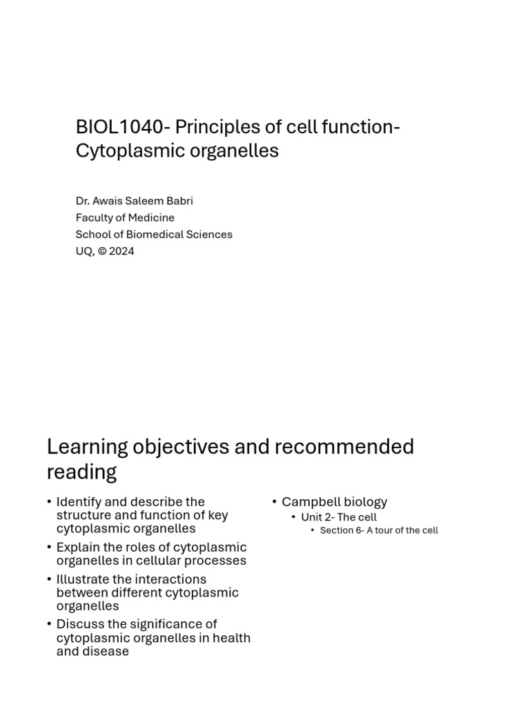 Week 1 Lecture 2 | PDF