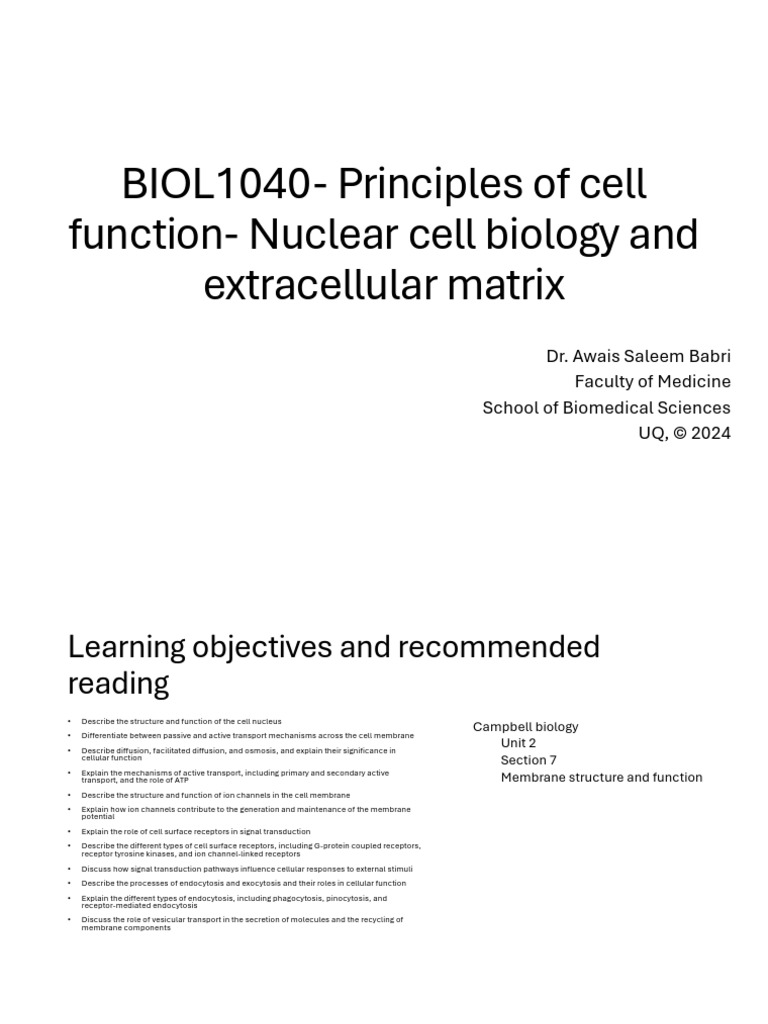 Week 1 Lecture 3 | PDF
