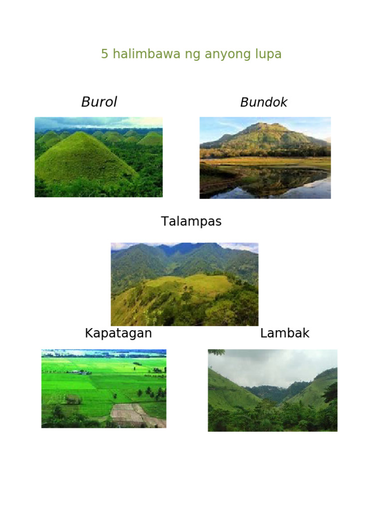 5 Halimbawa NG Anyong Lupa | PDF