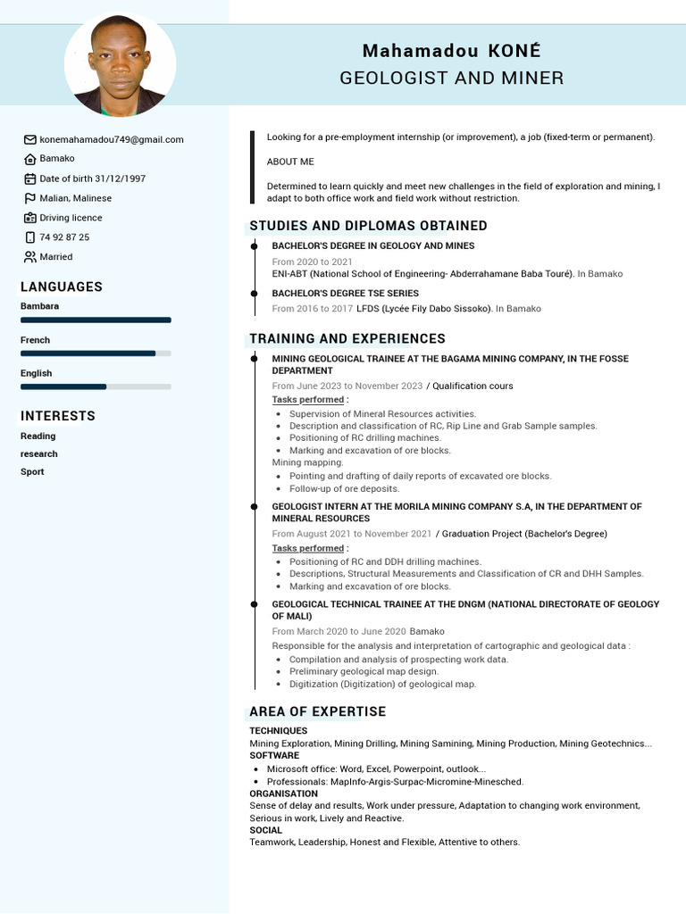 CV English | PDF