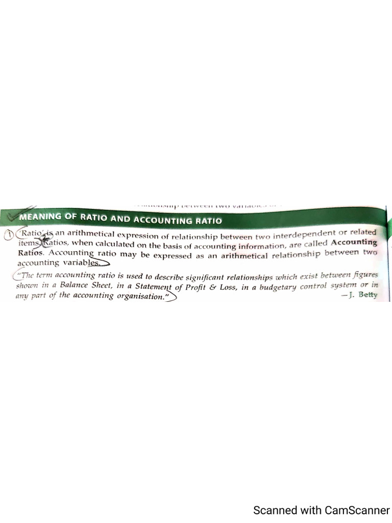 Project - Ratios | PDF