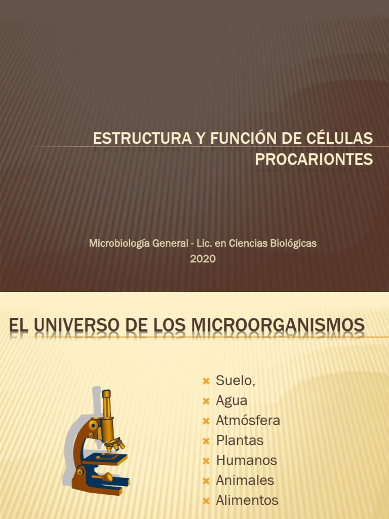 2020 Estructura y Funcion de Celulas Procariontes - Biologia | PDF