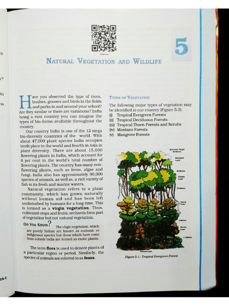Class 9 SST Geography Chapter 5 | PDF