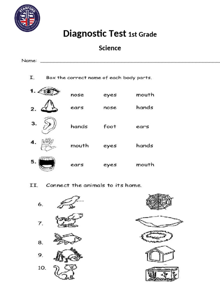 Diagnostic Test 1st Grade SC | PDF