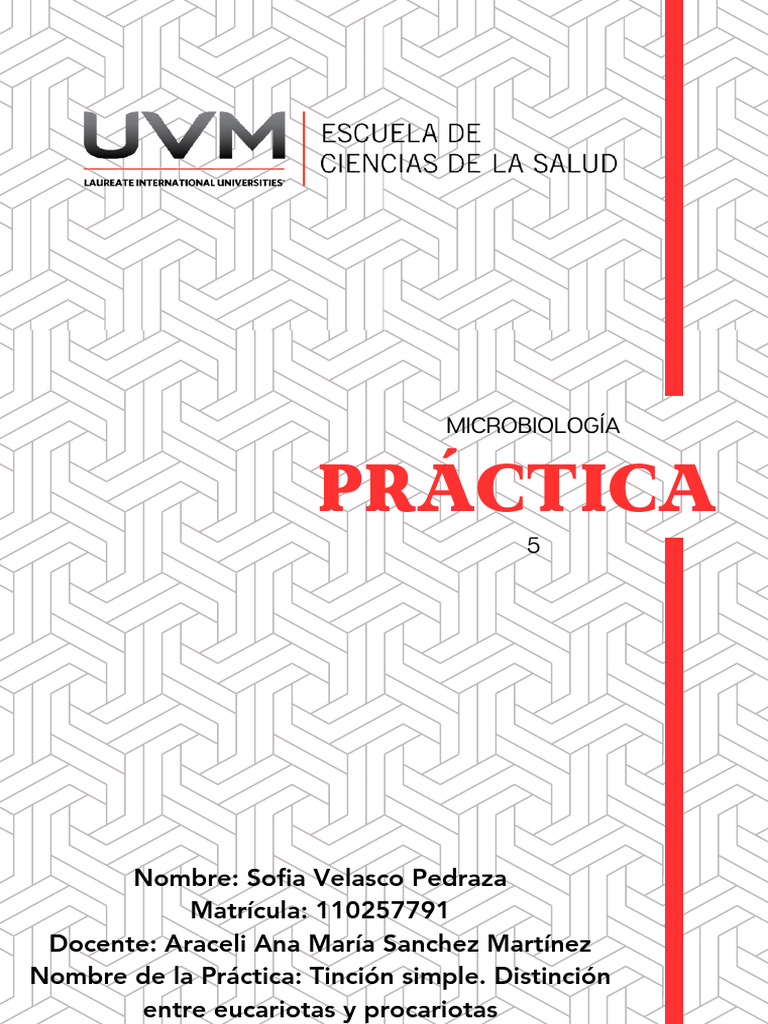 Práctica 5 Micro | PDF