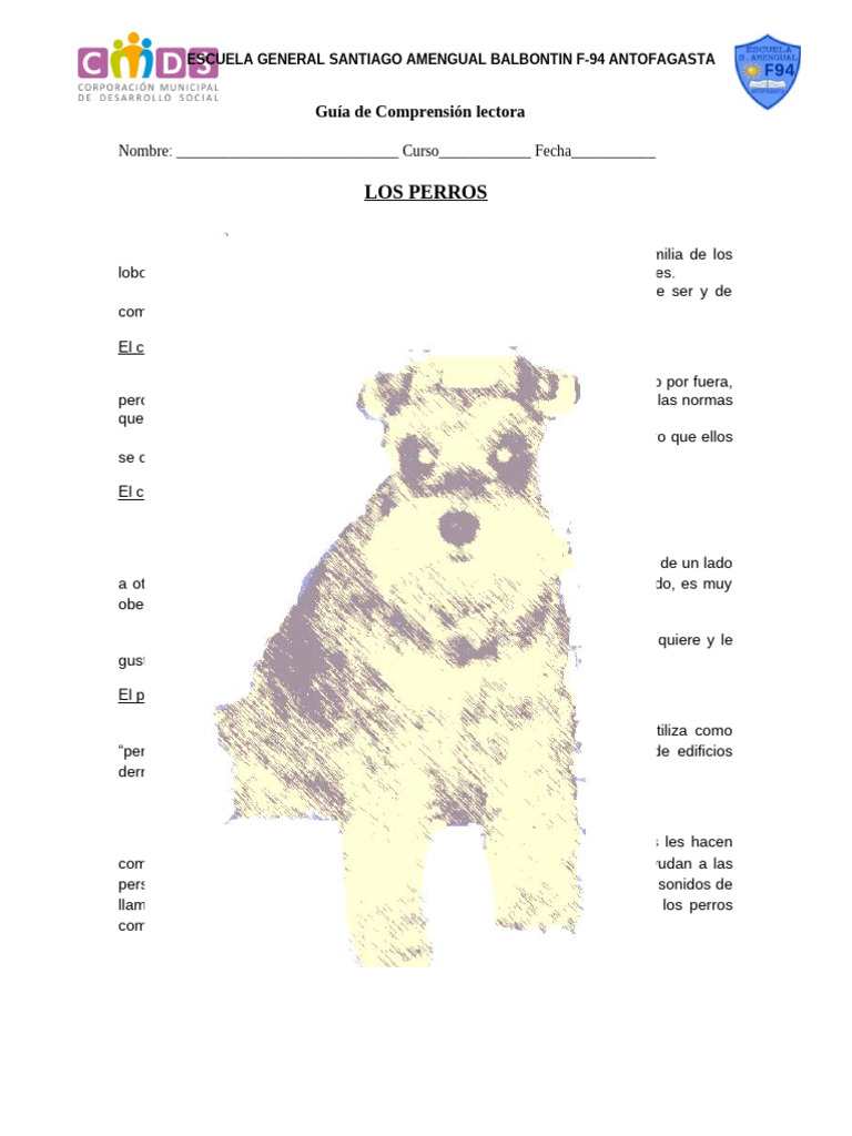 Guia de Comprension Lectora | PDF