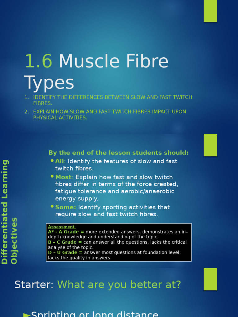 1.6 Muscle Fibre Types | PDF