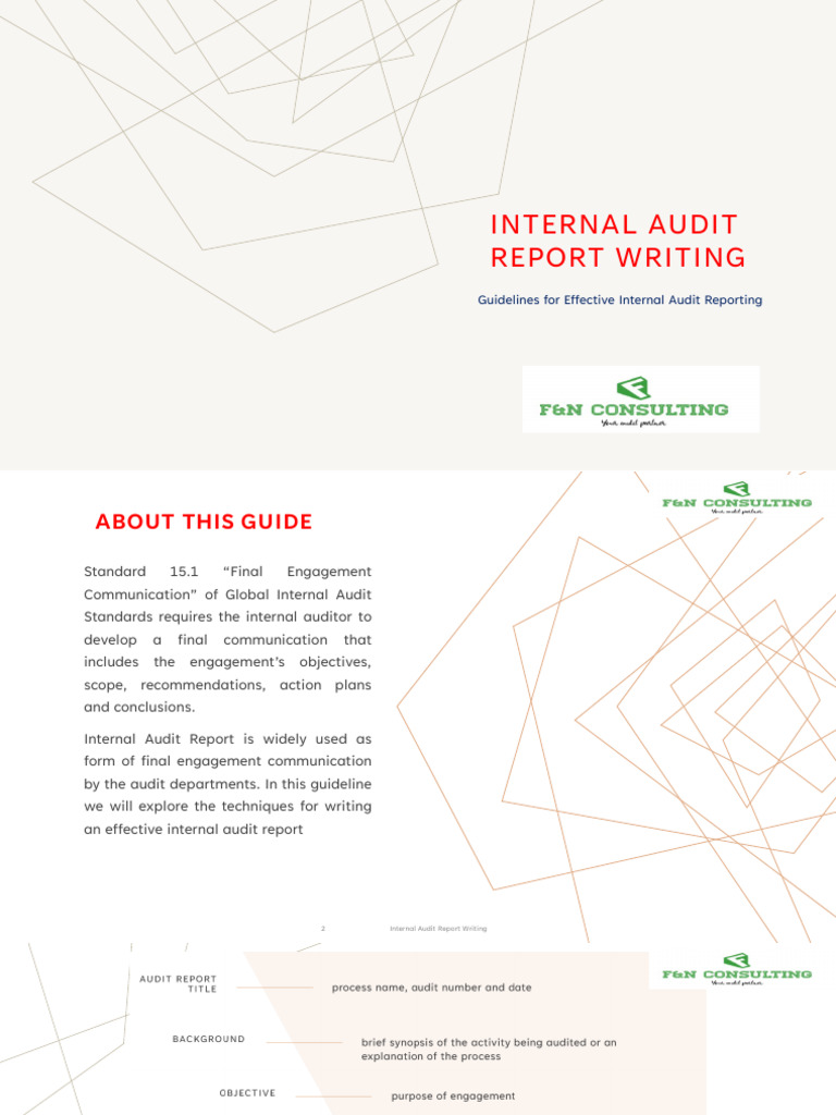 Internal Audit Report | PDF