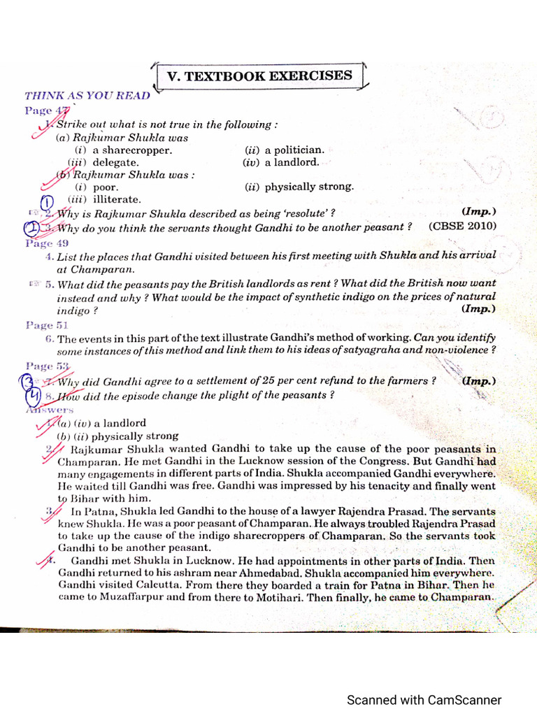 Indigo Notes | PDF