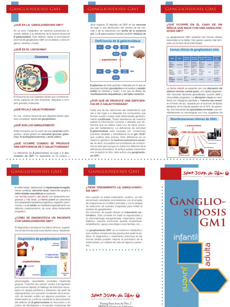 Gangliosidosis GM1 | PDF