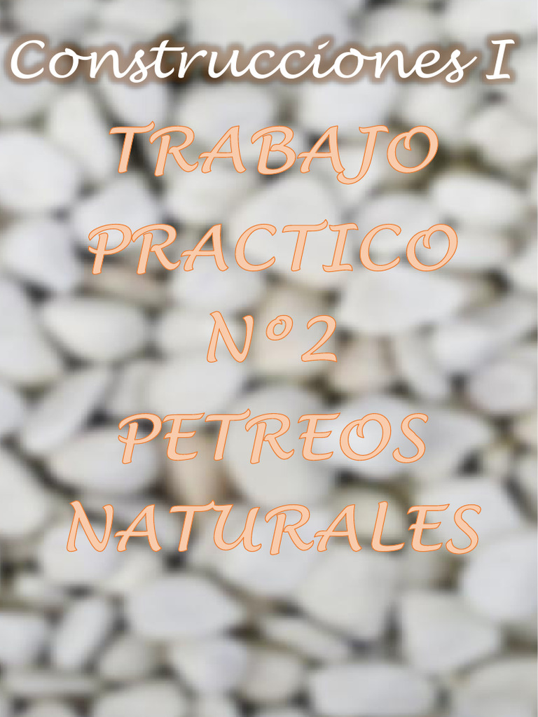 Trabajo Practico 2 Const | PDF