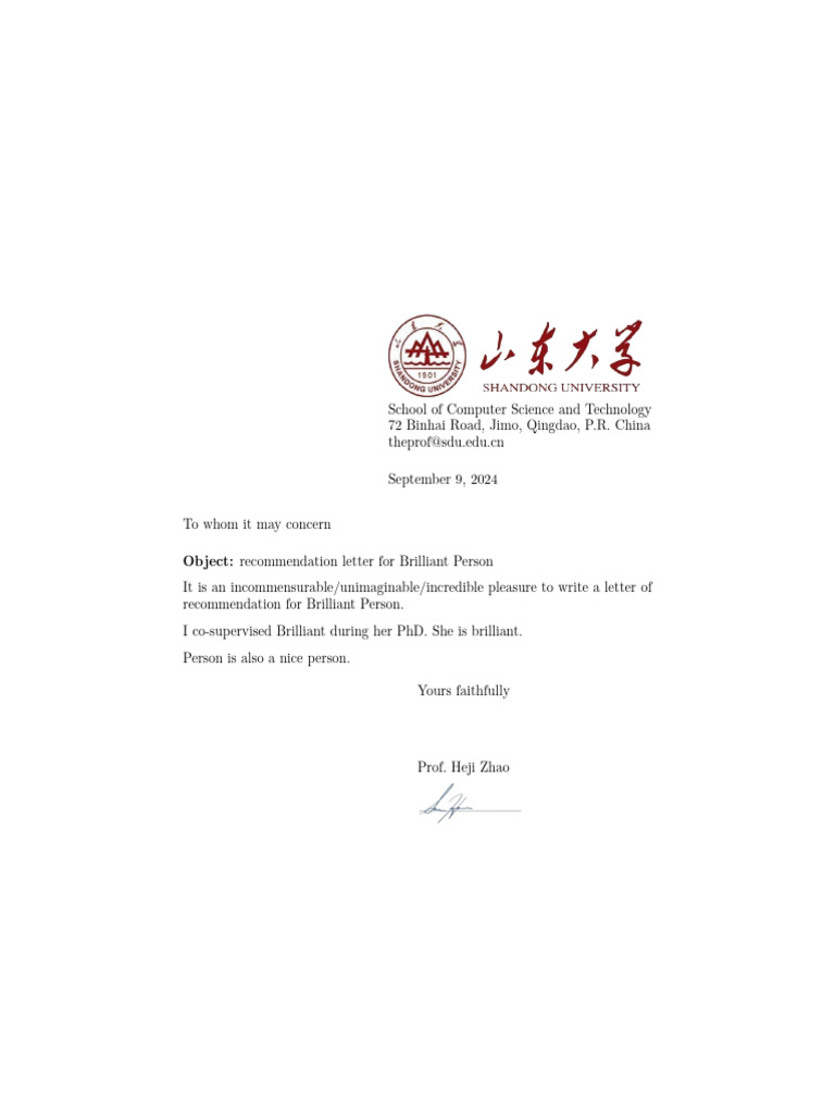 Sdu Recommendation Letter Template | PDF