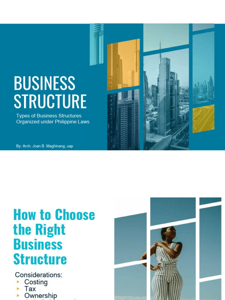 Business Structures | PDF