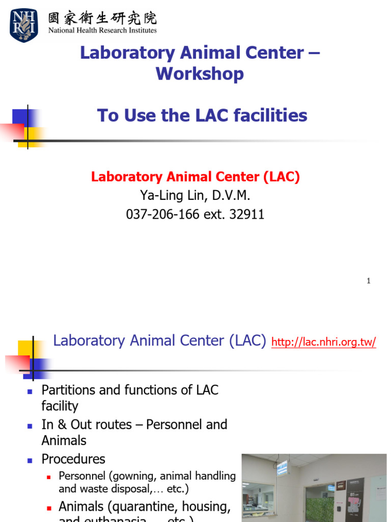 LAC Workshop-English - 2024 | PDF