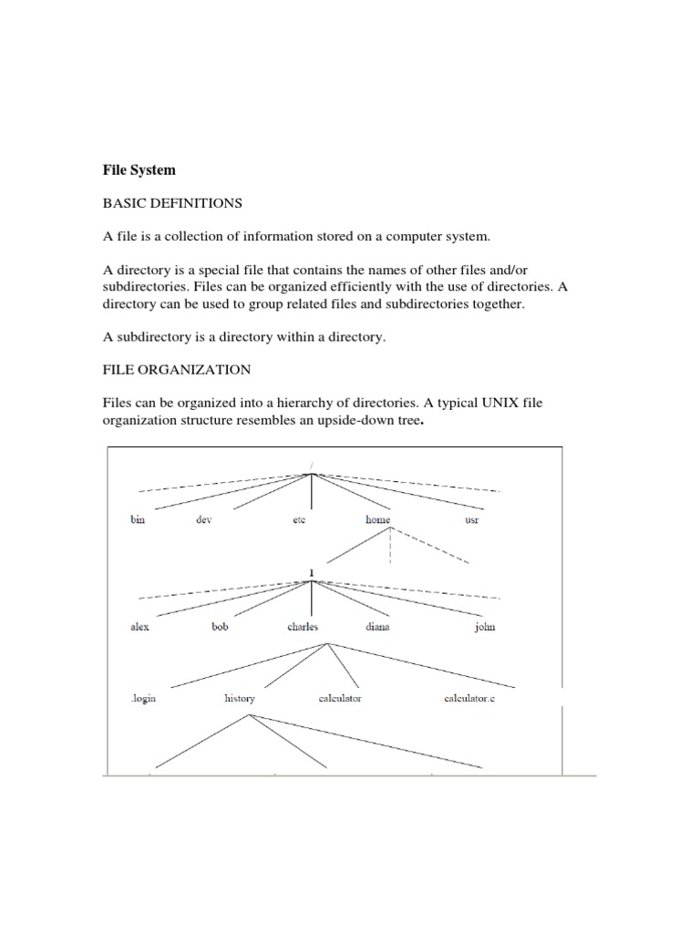 Linux Commandz Class 5 | PDF | Directory (Computing) | Computer File