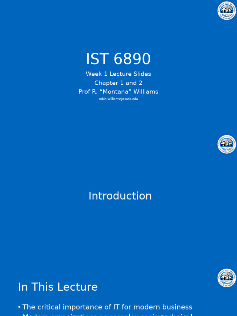 Week 1 - IST 6890 - MT | PDF