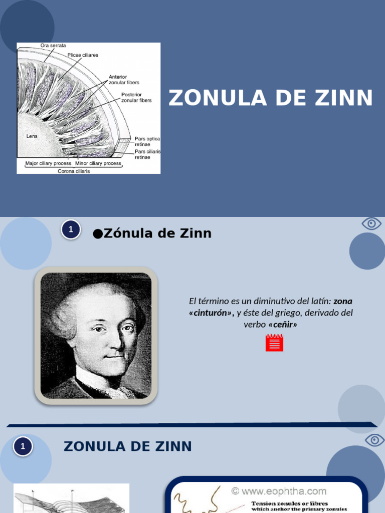 Zonula de Zinn | PDF
