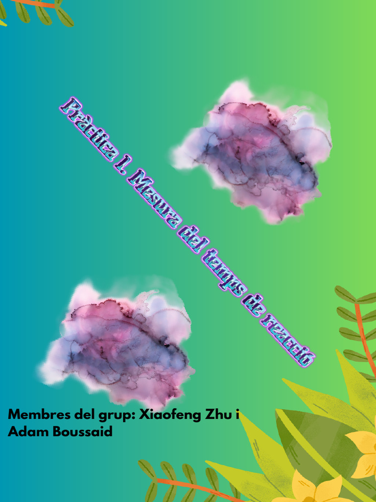 Informe de Pràctiques | PDF