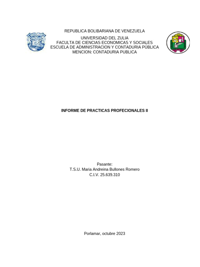 Informe Practica Profesionales II | PDF