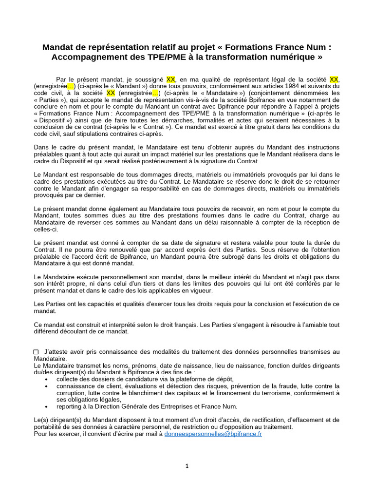 Modèle de Mandat - Chef de File - Membres Du Groupement | PDF