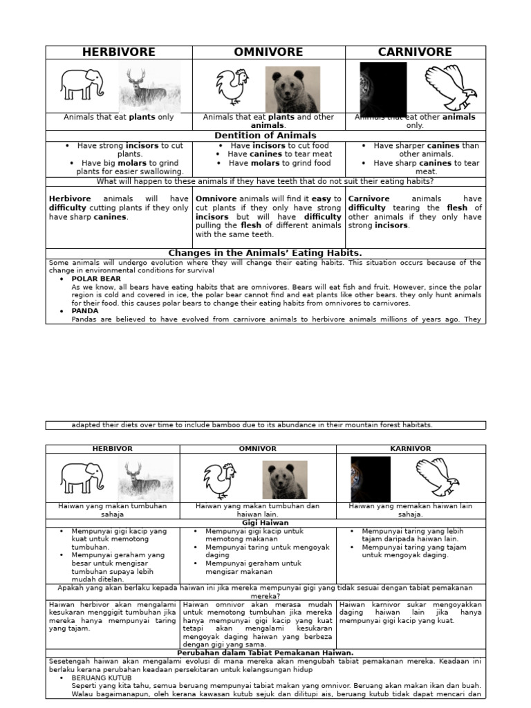 Animals Y3 | PDF