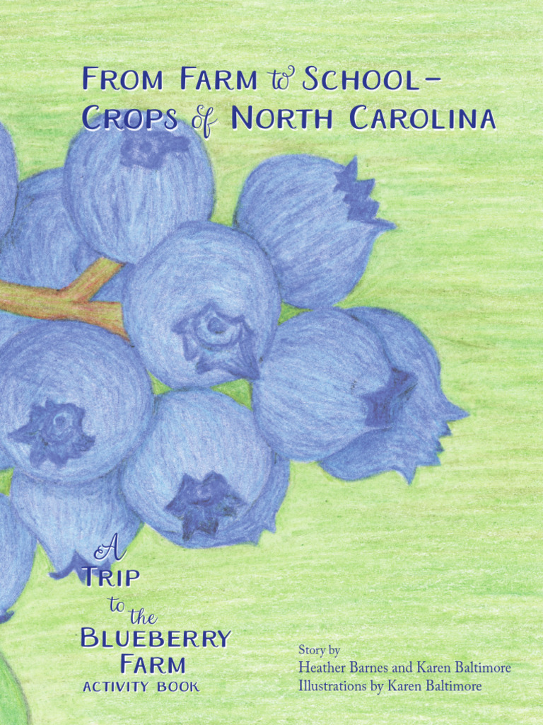 Blueberry Activity | PDF