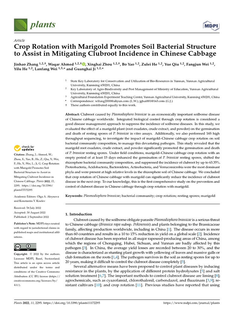 Crop Rotation with Marigold Promotes Soil Bacterial Structure to Assist ...