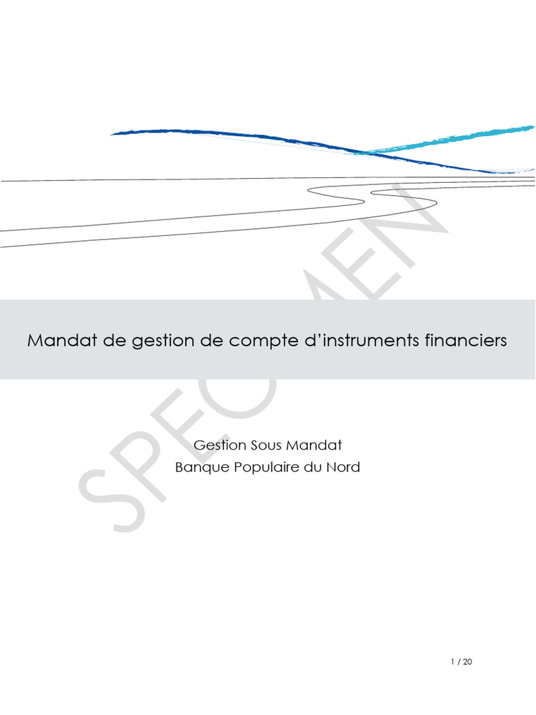 Mandat de Gestion de Compte Dinstruments Financiers | PDF
