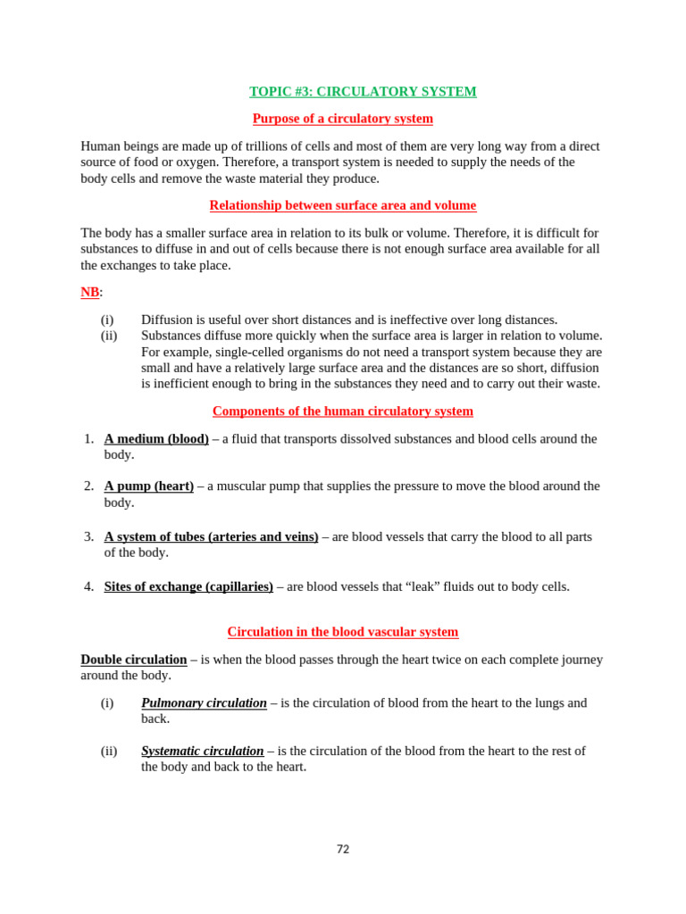 HSB Section B Topic 3 Circulatory System 1-4BF0C | PDF