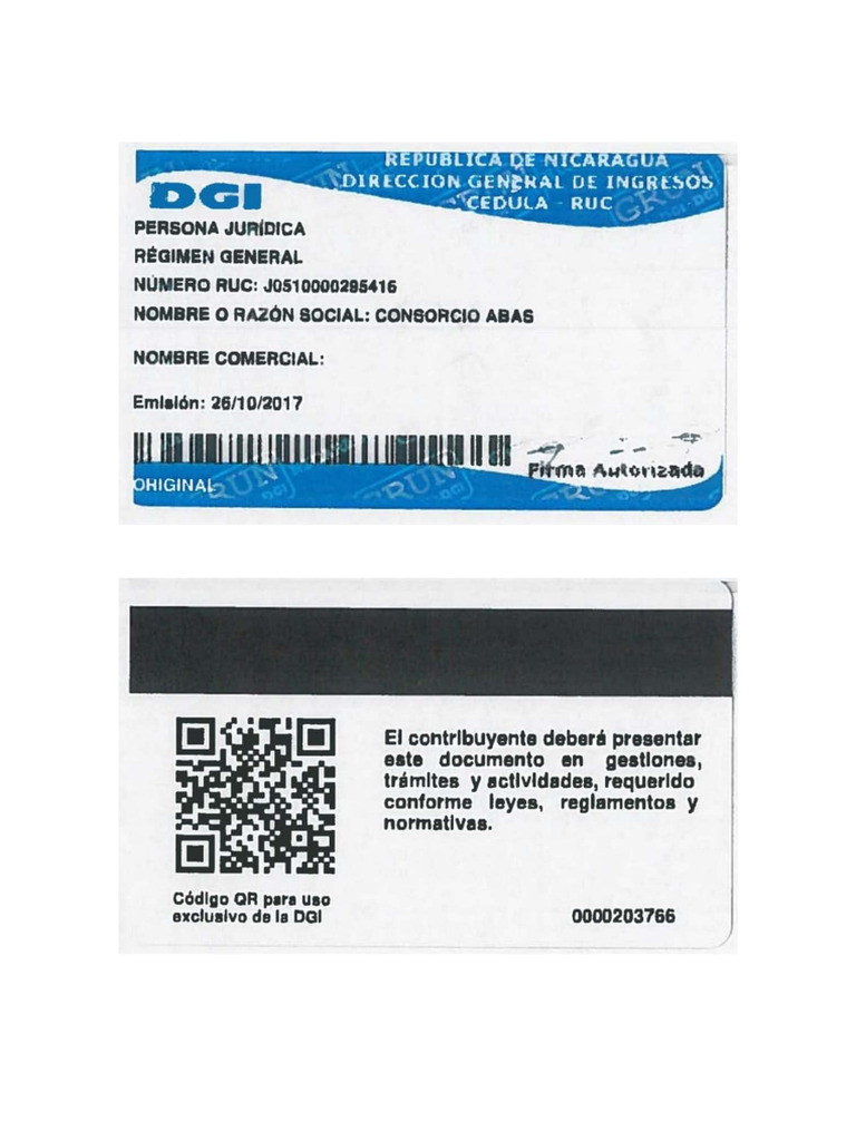 Cedula Ruc - Consorcio Abas | PDF