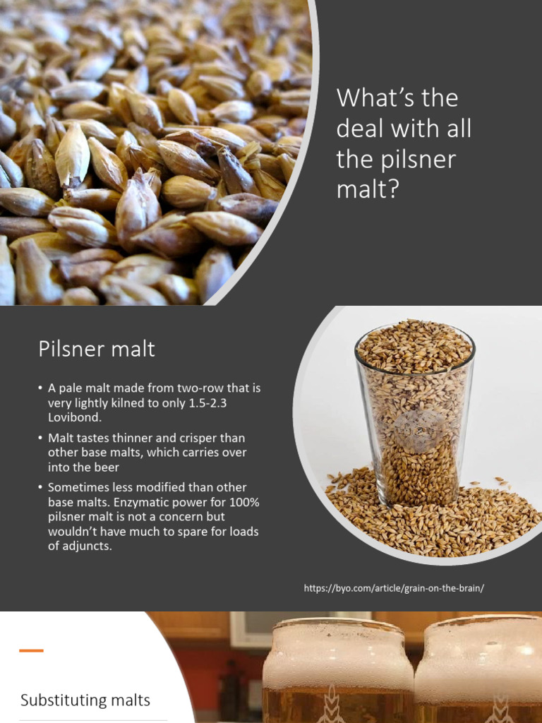 2020 November Pilsner Malt | PDF